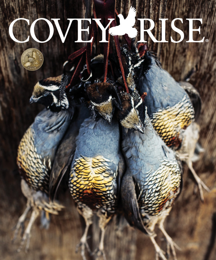 The April-May 2019 Preview | Covey Rise Magazine